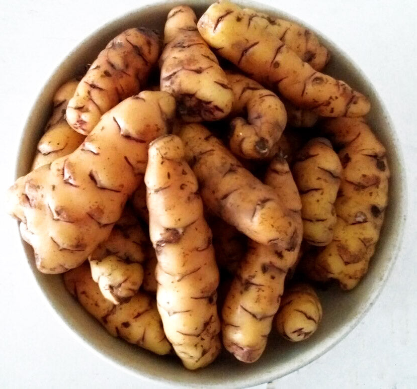 Oca | Bolivian fresh potatoes | Bolivianita.de